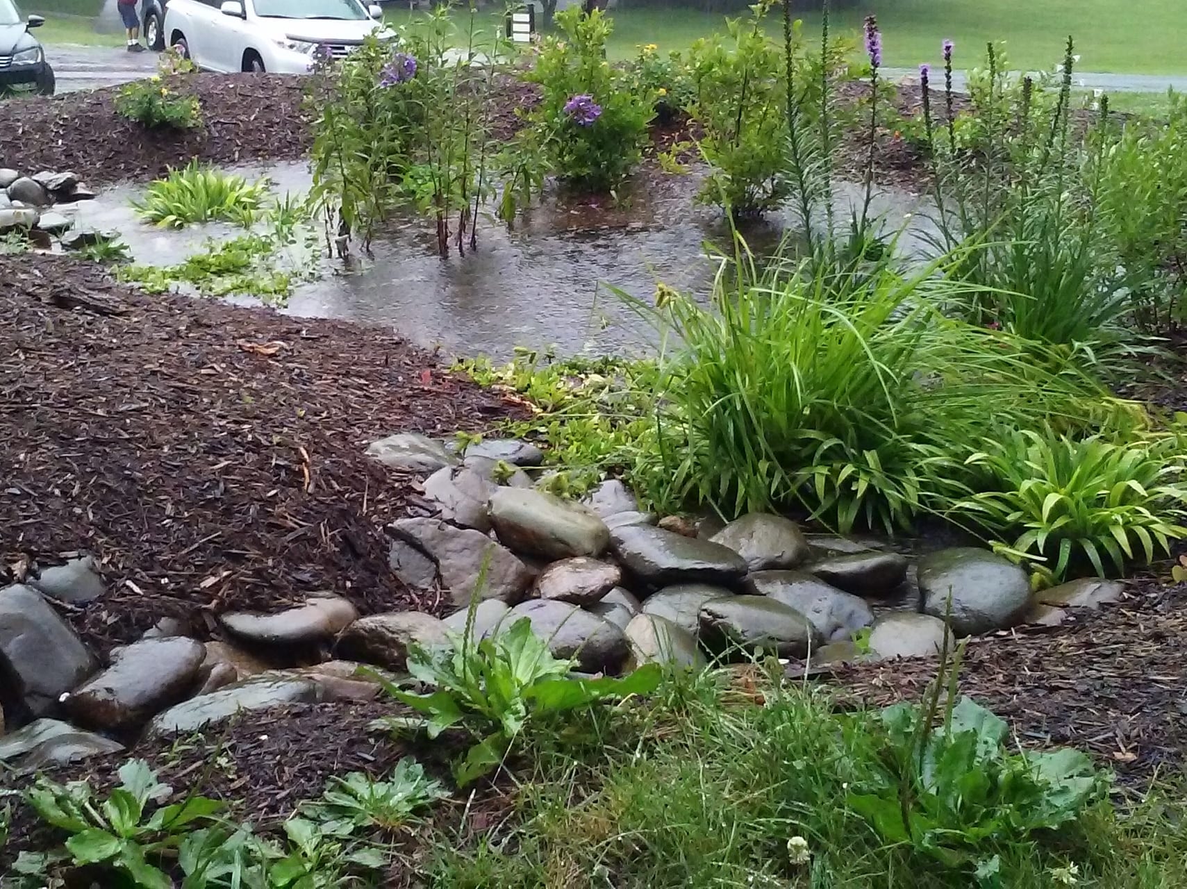 How to Install a Raingarden - NHS New Haven